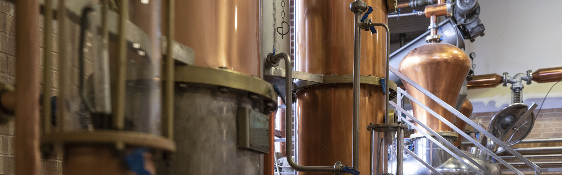 Home Page | Gruppo Caffo